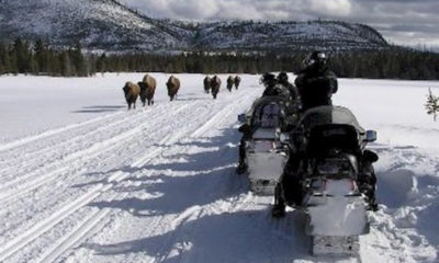 Yellowstone Park and Mountains | Yellowstone Fun